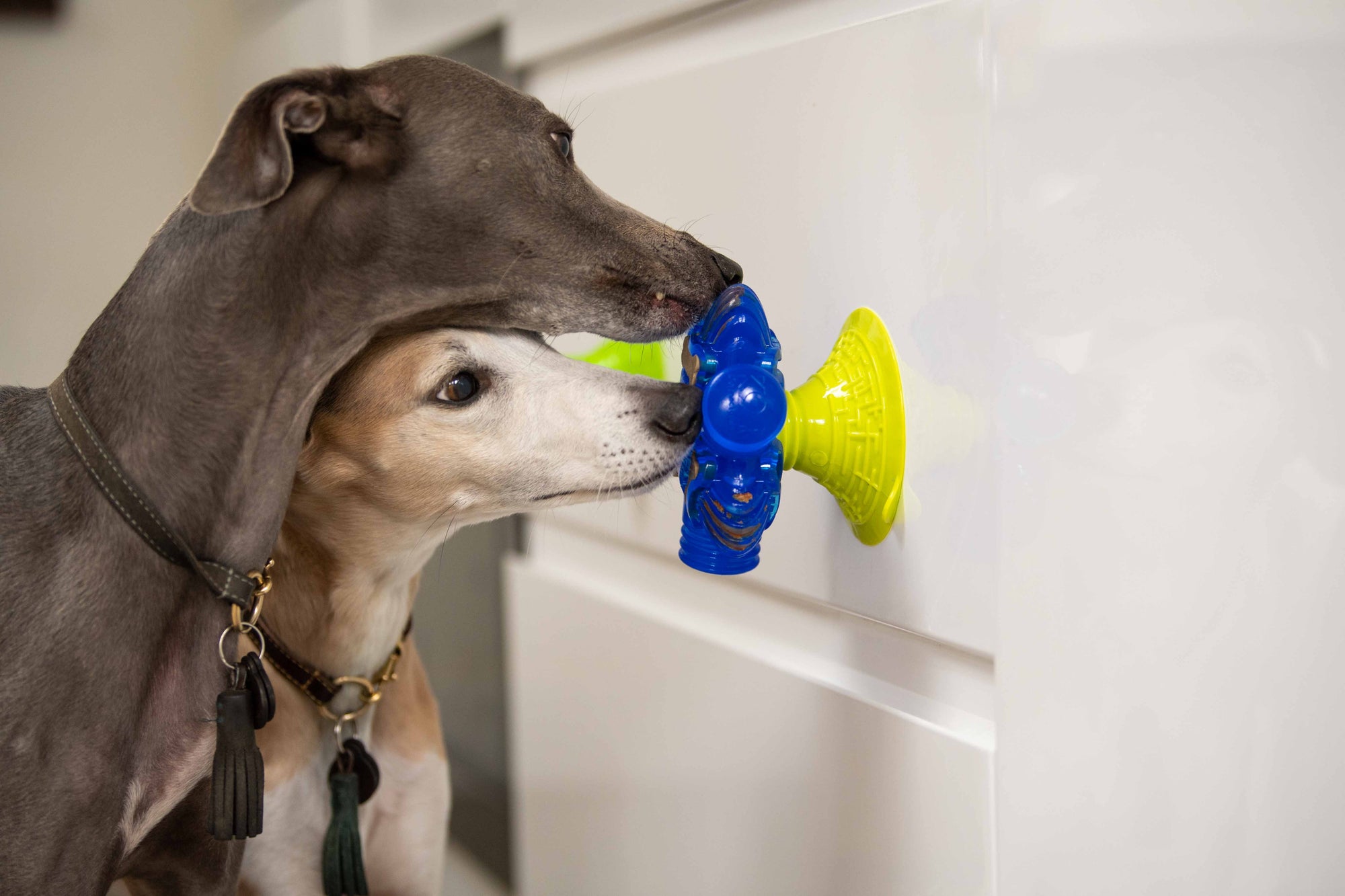K9connectable interactive dog toys – k9connectables.com