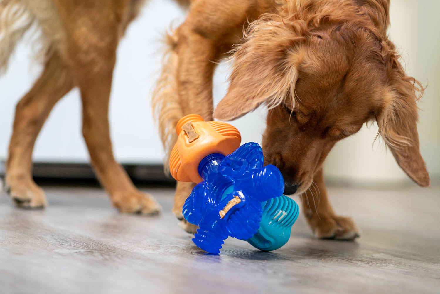 K9connectable interactive dog toys – k9connectables.com