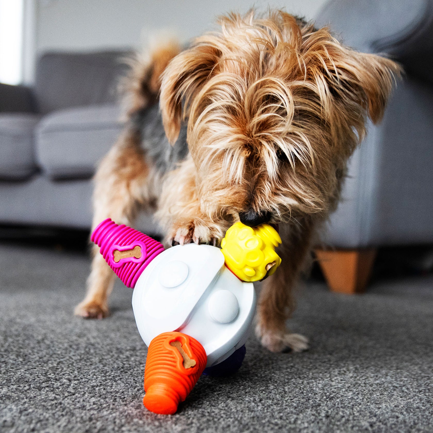 Kibble Connector - Dog Food Dispenser – k9connectables.com